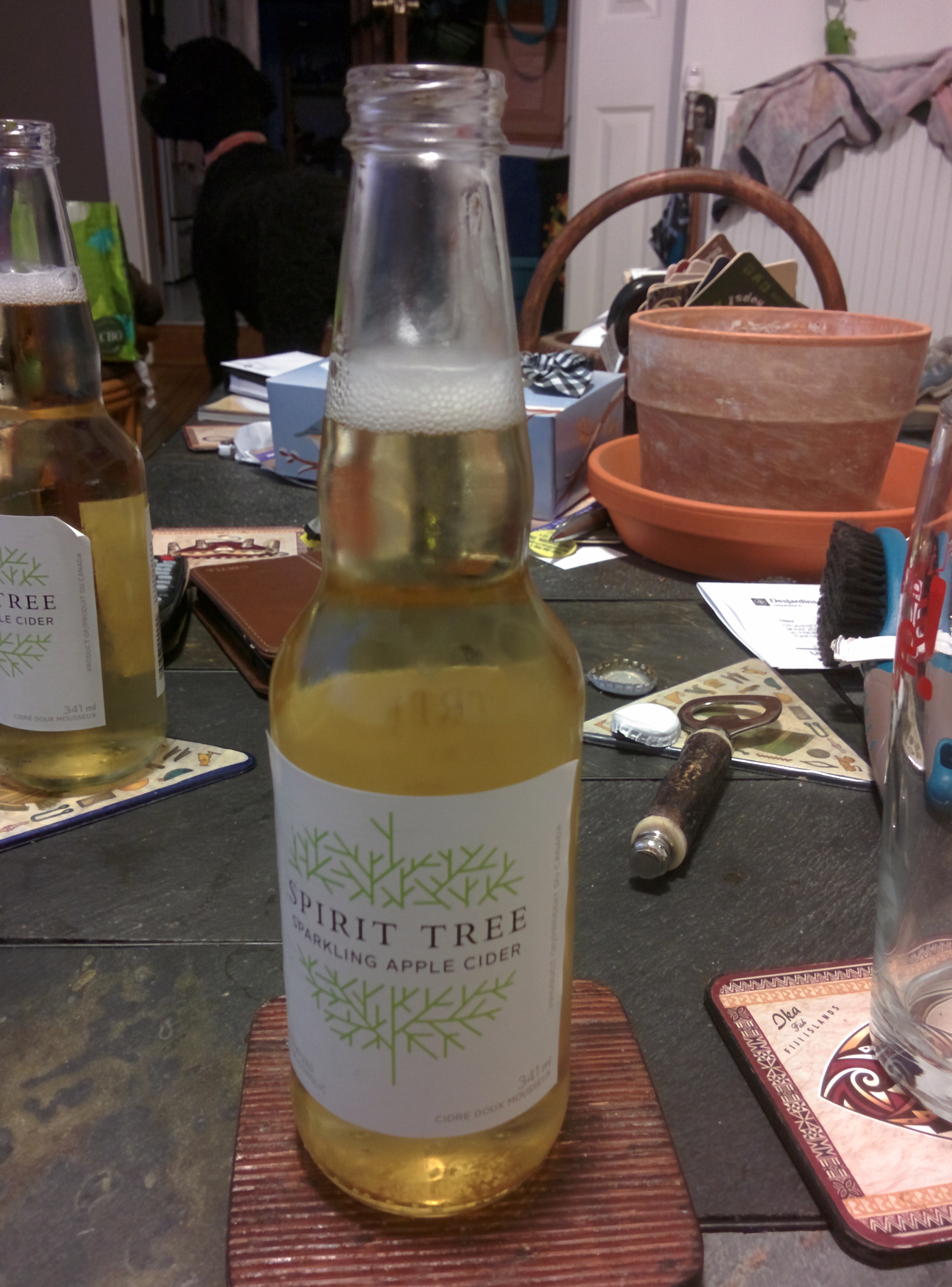 Sparkling Apple Cider (Non-alcholic) by Spirit Tree Cider, a Review ...